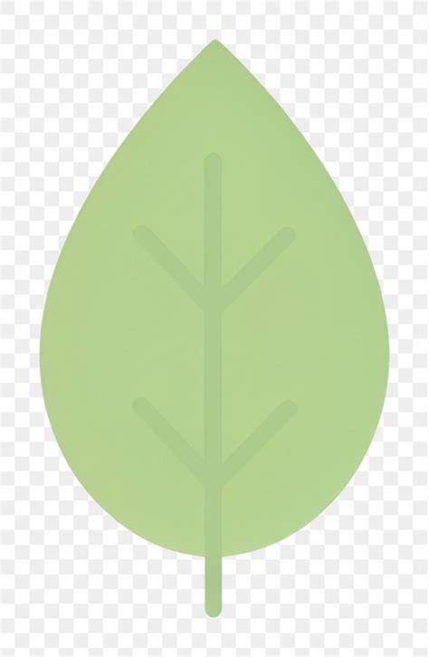 Tree Vector PNG Images Free Photos PNG Stickers Wallpapers Backgrounds Rawpixel
