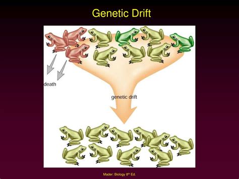 Ppt Process Of Evolution Powerpoint Presentation Free Download Id