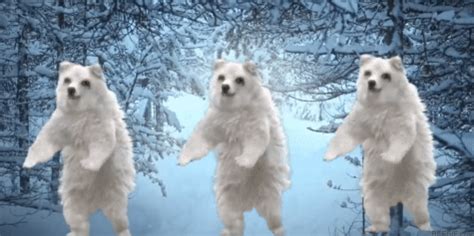 Snow Dance S