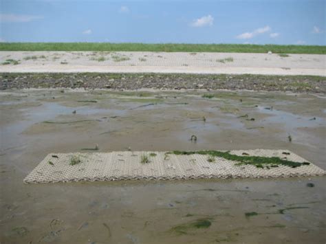 Bese Elements® Materialdistrict