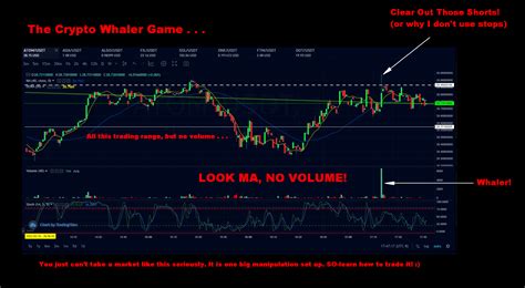 TOOLS FOR TRADING Tradingview Premium Plan DorothysDirtyDitch