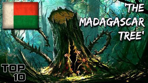 Top 10 Scary Madagascar Urban Legends Youtube