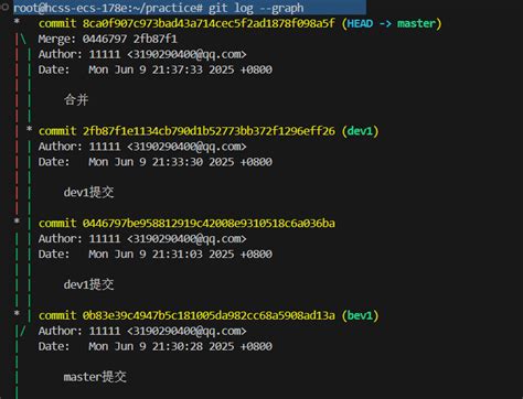 二gitee分支管理 Csdn博客