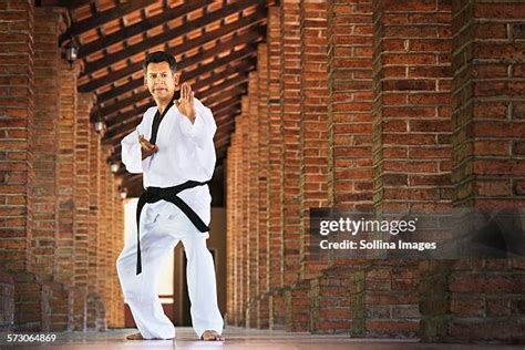 20 Karate Chop Bricks Stock Photos, High-Res Pictures, and Images ...
