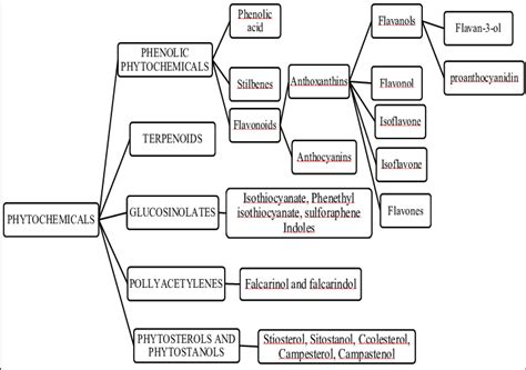 Classification Of Phytochemicals Download Scientific Diagram