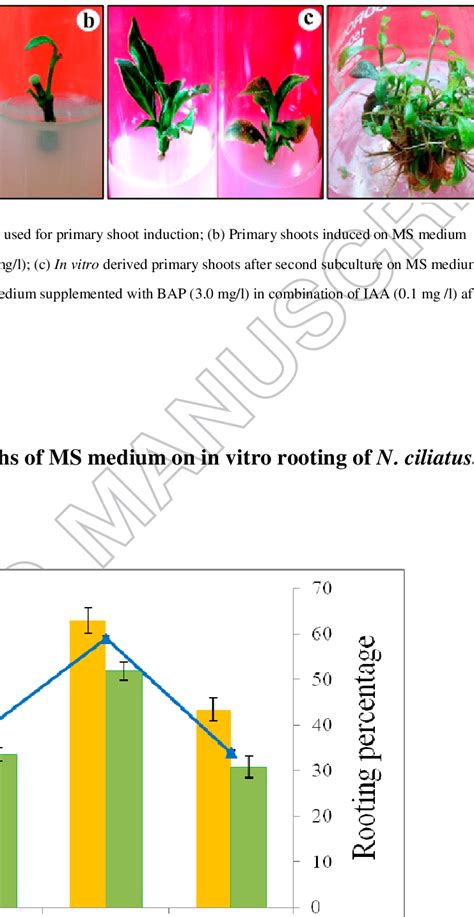 Effect Of Various Streng Download Scientific Diagram