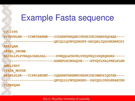 ppt sequence database searching powerpoint presentation free