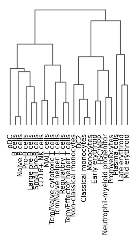 Cell Type Annotation And Visualization Single Cell Transcriptomics