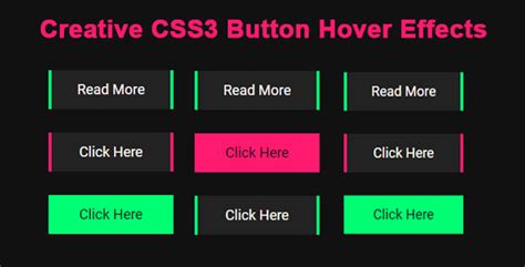 Creative CSS Button Hover Effects By Romincomputer CodeCanyon