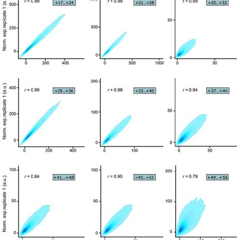 Correlation Of Normalized Expression Values Between The Replicates Of