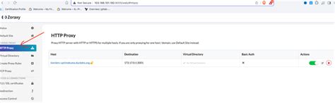 Docker Homelab Triển Khai Reverse Proxy Server Sử Dụng Zoraxy Viblo
