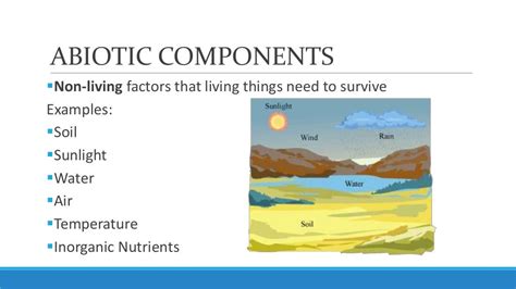 unit 5 lesson 5 2 biotic and abiotic components