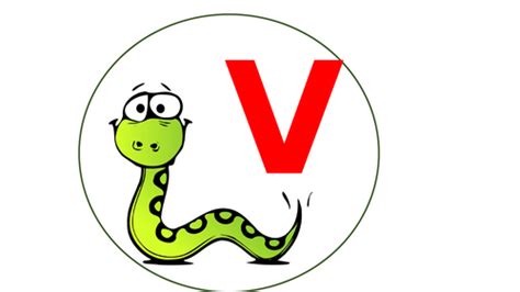 Vipers Display Teaching Resources