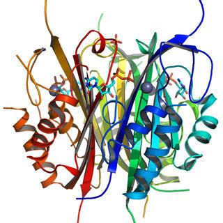 Overall Structure Of IspF IspF Forms A Homotrimer A Axial View B Download Scientific