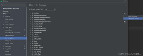 自定义快捷键与代码块：提升编程效率 Csdn博客
