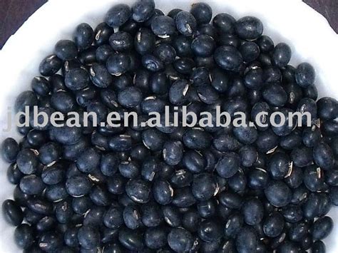 New Crop Big Black Beans China Gold Field Price Supplier 21food