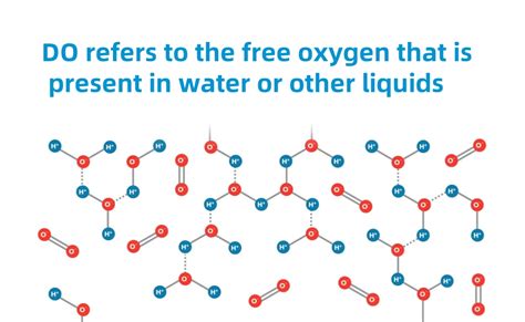 What Is Water Dissolved Oxygen Importance Measurement And Management