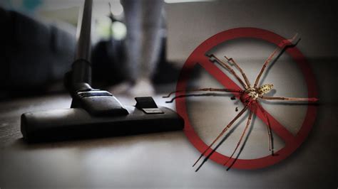 Jak Nazywa Się Folder Minecraft Jak Go Znaleźć Practical Tips