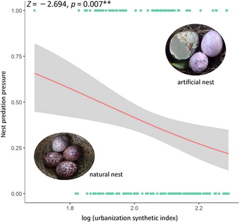 the relationship between the nest predation pressure of chinese bulbuls