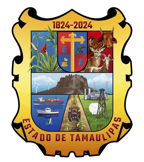 Esquema Del Estandarte Del Escudo De Armas