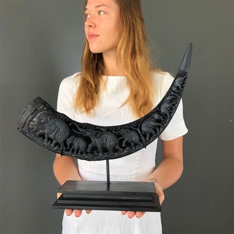 Finely Engraved Large Horn Of A Water Buffalo Bubalus Catawiki