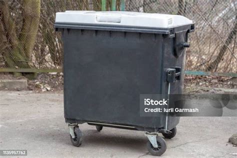 큰 쓰레기 통 쓰레기 쓰레기통 및 뒤뜰에 빈 별도의 쓰레기 수집을 위한 준비 정돈 된 쓰레기 깡통 환경 친화적 인 쓰레기 용기 휴지통 탱크 가득 찬에 대한 스톡 사진 및