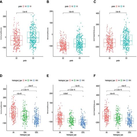 Enrichment Analysis Of Go And Kegg In Barplot Circos Plots A And B