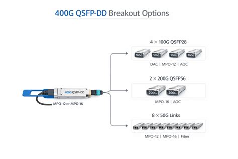 Qsfp Dd Compatible Switches Complete 2025 Vendor Guide