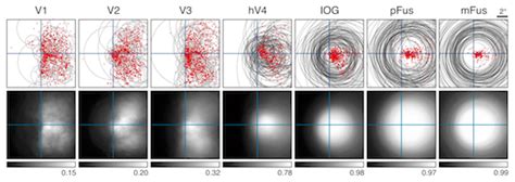 Computational Visual Neuroscience Laboratory At Cmrr