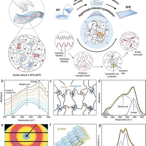 Design And Fabrication Of Sfie A The Design Philosophy Of Sfie‐amtr Download Scientific