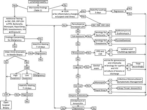 Algorithm For Evaluation And Management Of Lymphadenopathy Download