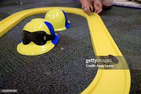 Cockroach Racing Photos And Premium High Res Pictures Getty Images