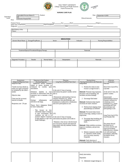 Ncp Template Pdf Respiratory System Breathing