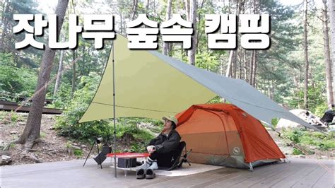 솔로캠핑 숲속캠핑 피톤치드 뿜뿜 반합요리 통삼겹구이 부쉬크래프트 흉내내기 혼자뻘짓 호명산 잣나무 숲속