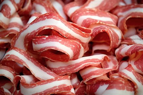 얇게 썬 빨간색과 흰색 베이컨 몇 조각 높은 해상도 사람이 없다 삼겹살 배경 일러스트 및 사진 무료 다운로드 Pngtree