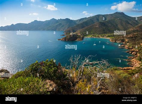 Rocky Coast And Red Cliffs Bay Of Girolata Girolata La Scandola