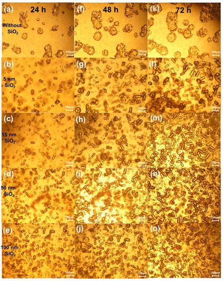 Silica Nanoparticles Induced Lysozyme Crystallization Effects Of