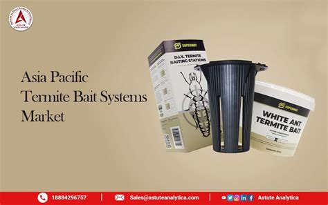 Pakhi Singh On Linkedin Asiapacifictermitebaitsystems Valued