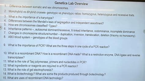 Solved 1 Difference Between Somatic And Sex Chromosomes 2 Chegg Com