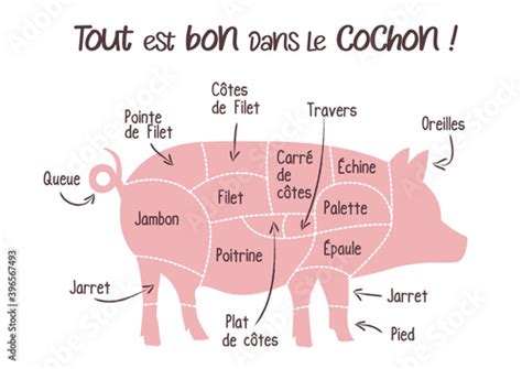Le Porc Cochon Boucherie Pièces De Viande De Porc Schéma Découpe Du