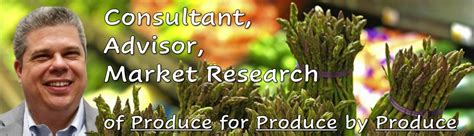 Execulytics Consulting Maximize Your Potential In The Canadian Market