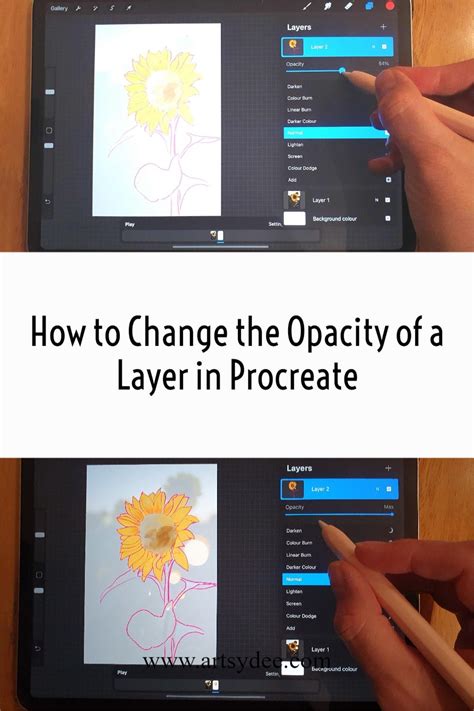 Digital Drawing Step By Step Procreate Tutorials For Beginners Artofit