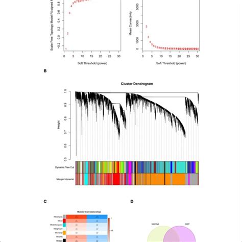 Figure Weighted Gene Co Expression Network Analysis Wgcna A Soft
