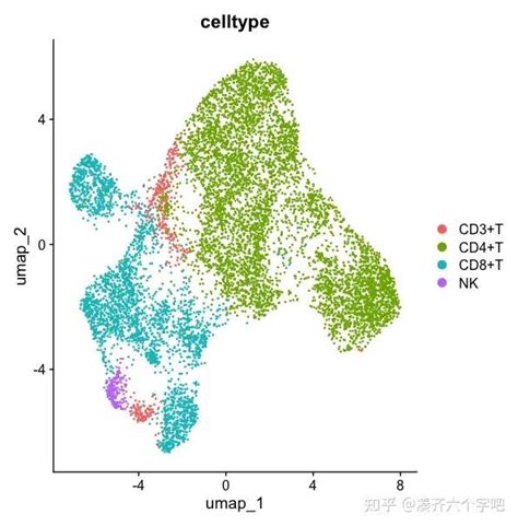 单细胞实战之亚细胞分群从t Nk至cd4 T细胞——从入门到进阶 中级篇1） 知乎