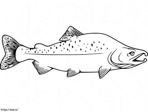 Humpback Salmon Coloring Page