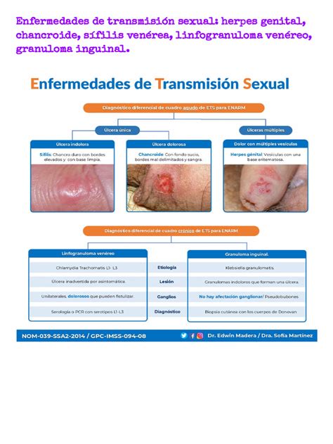 Enfermedades De Transmision Sexual Pdf