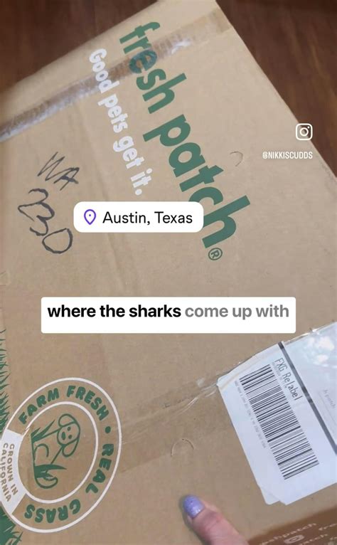 Fresh Patch Large Dog Grass Pee Pad Real Grass