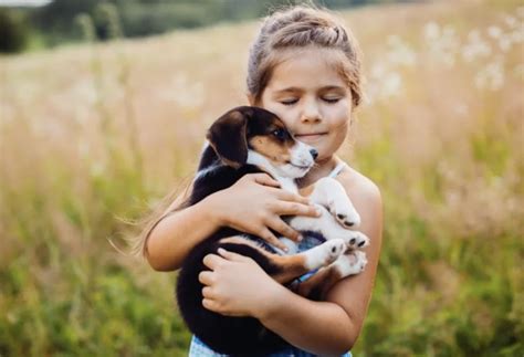 Tener Una Mascota Es Clave Para La Salud Y El Bienestar En La Infancia