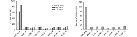 Enzymatic Activity Assay Of Wild Type And Mutant Cyp11b1 A Production