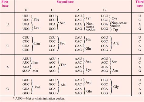Genetic Code Definition Characteristics Wobble Hypothesis Biology